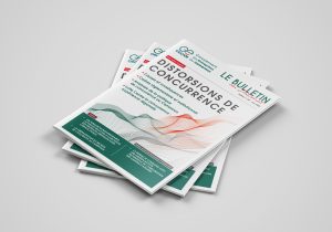 GECAM – Stronger Together