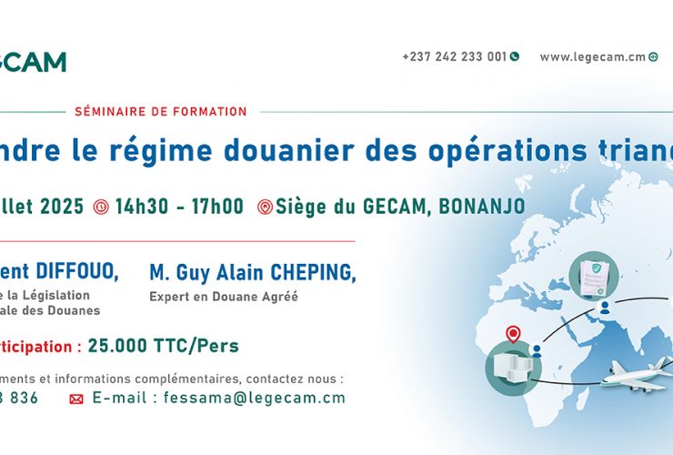 Maîtriser le nouvel Impôt Général Synthétique (IGS) – GECAM
