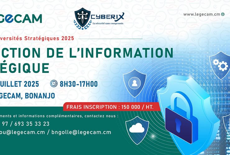 MAÎTRISER LE NOUVEL IMPOT GENERAL SYNTHETIQUE, UNE NECESSITE POUR LES ...